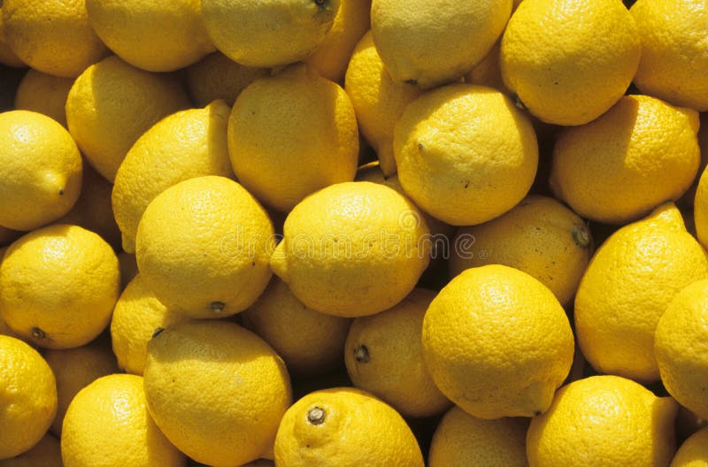 Citroner fotografering för bildbyråer. Bild av sunt, producera - 2970749