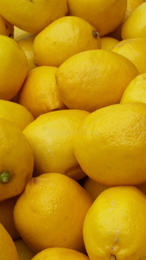 Citroner fotografering för bildbyråer. Bild av citrusfrukter - 98755949