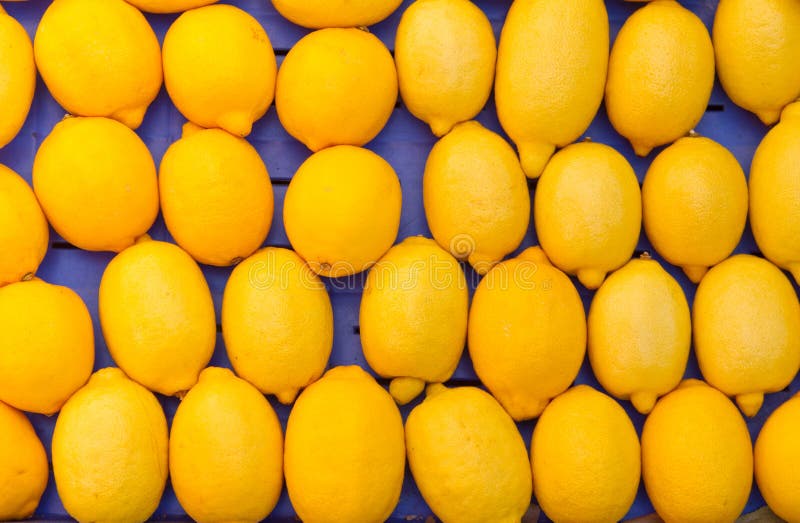 Citrons image stock. Image du moisson, zone, système - 21380043