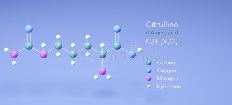 Citrulline, Molecular Structures, Amino Acid, 3d Model, Structural ...