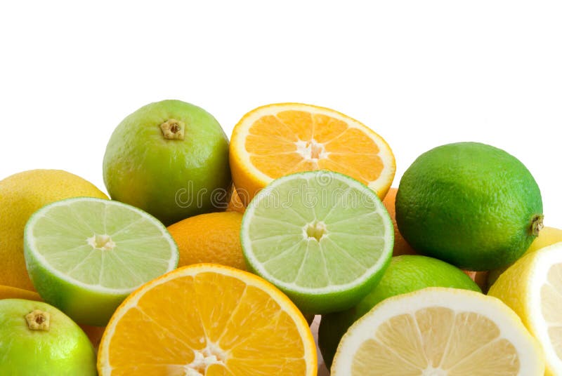 Citrus in Sunshine stock photo. Image of ocean, sunny - 4619682