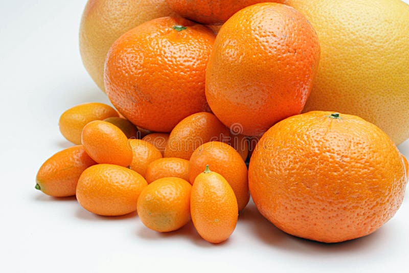 Citrus stock photo. Image of season, crop, ingredient - 5355514