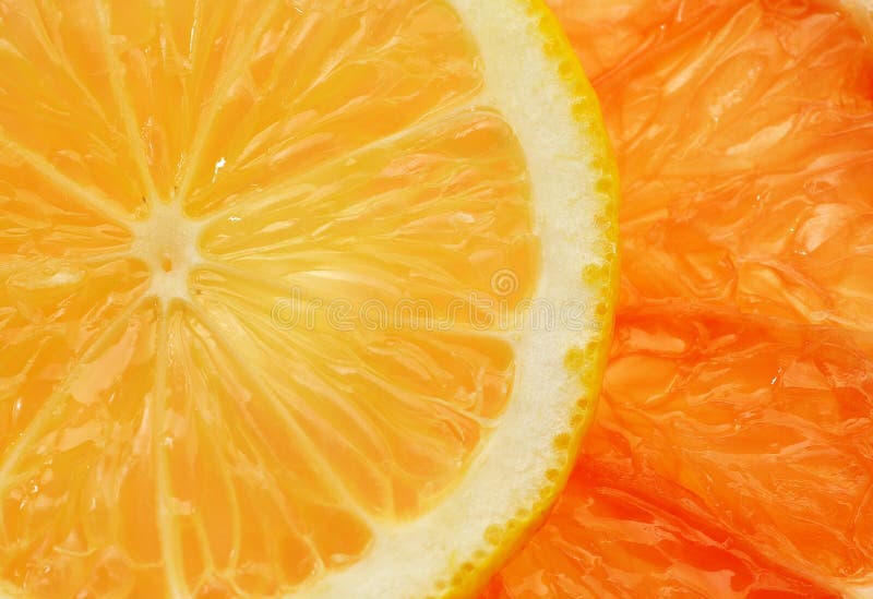 Citrus Background Picture. Image: 3925129