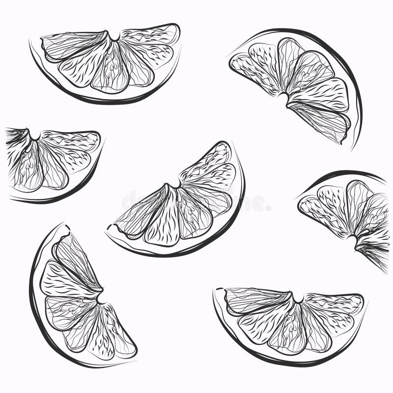 Citrus Designs Stock Illustrations – 879 Citrus Designs Stock ...