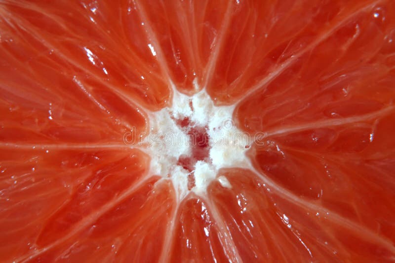 Citrus Color stock photo. Image of juice, food, diet, healthly - 5440268