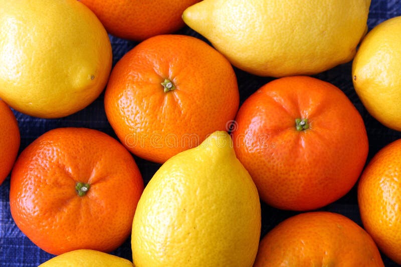 Citrus Fruit Close up stock photo. Image of background - 115758182