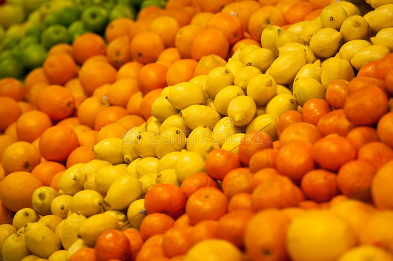 Citrus Fruit Group stock image. Image of yellow, shop - 17426821