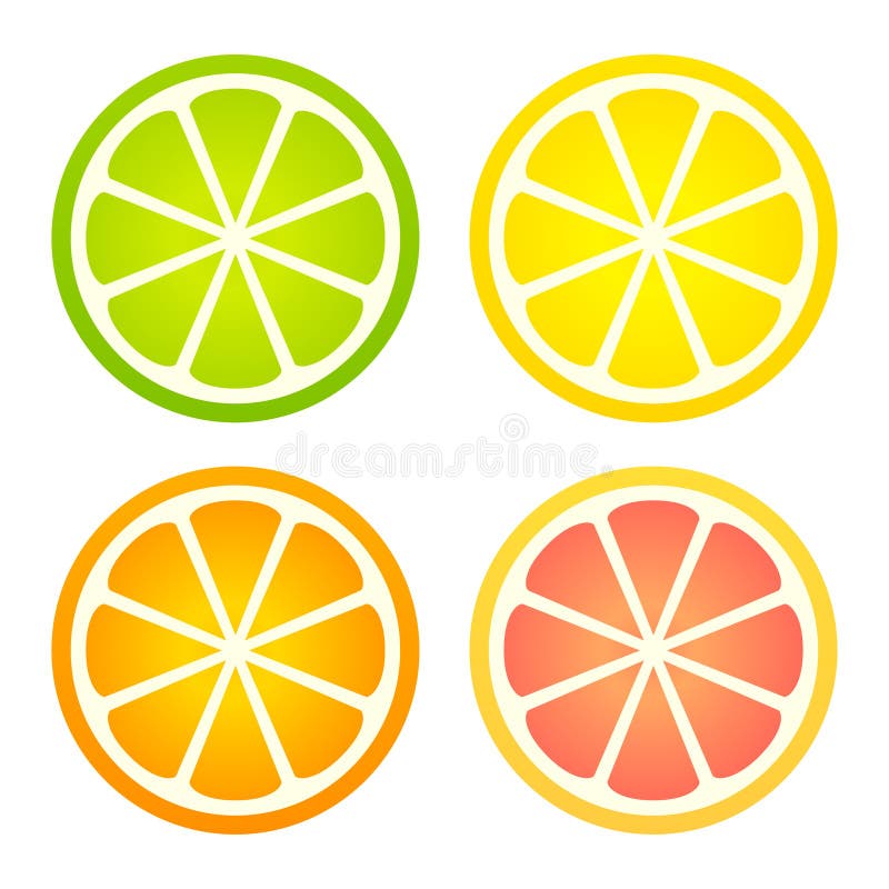 Citrus fruit icon set stock vector. Illustration of fresh - 90687237