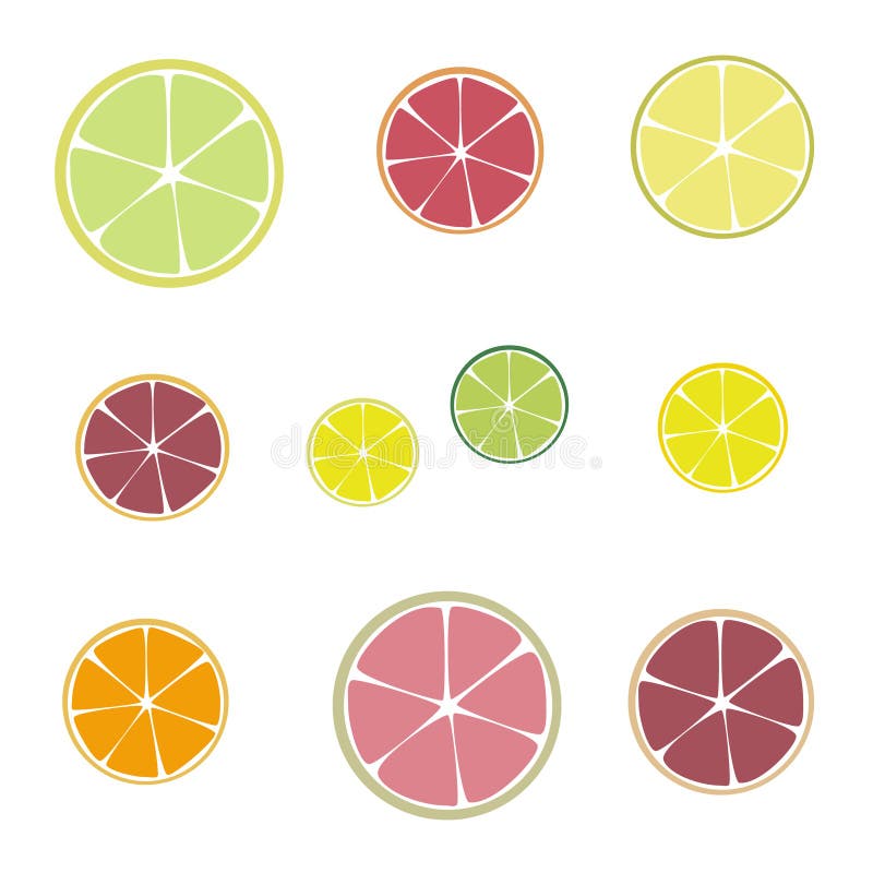 Citrus fruit slices stock vector. Illustration of peel - 122520620