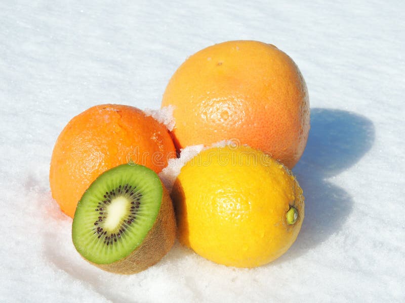 Citrus Fruit on Snow stock image. Image of cold, decoration - 67887209