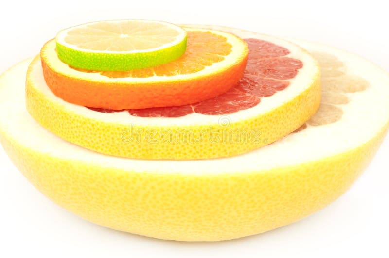 Caterpillar on a Citrus Branch Stock Image - Image of worm, multi: 1702309