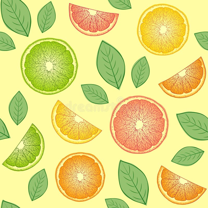 Citrus Fruits Group Cartoon Illustration Stock Vector - Illustration of ...