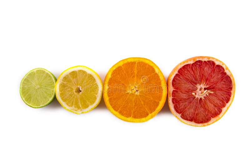 Citrus Fruits in a row stock image. Image of grapefruit - 10193805