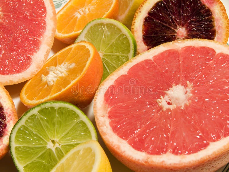 Citrus Group 3 stock image. Image of grapefruit, closeup - 13304275