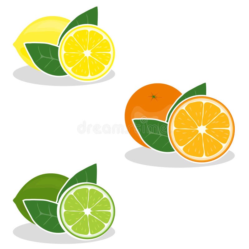 Citrus, Citrus Icon Isolated on White Background. Lemon, Orange, Lime ...