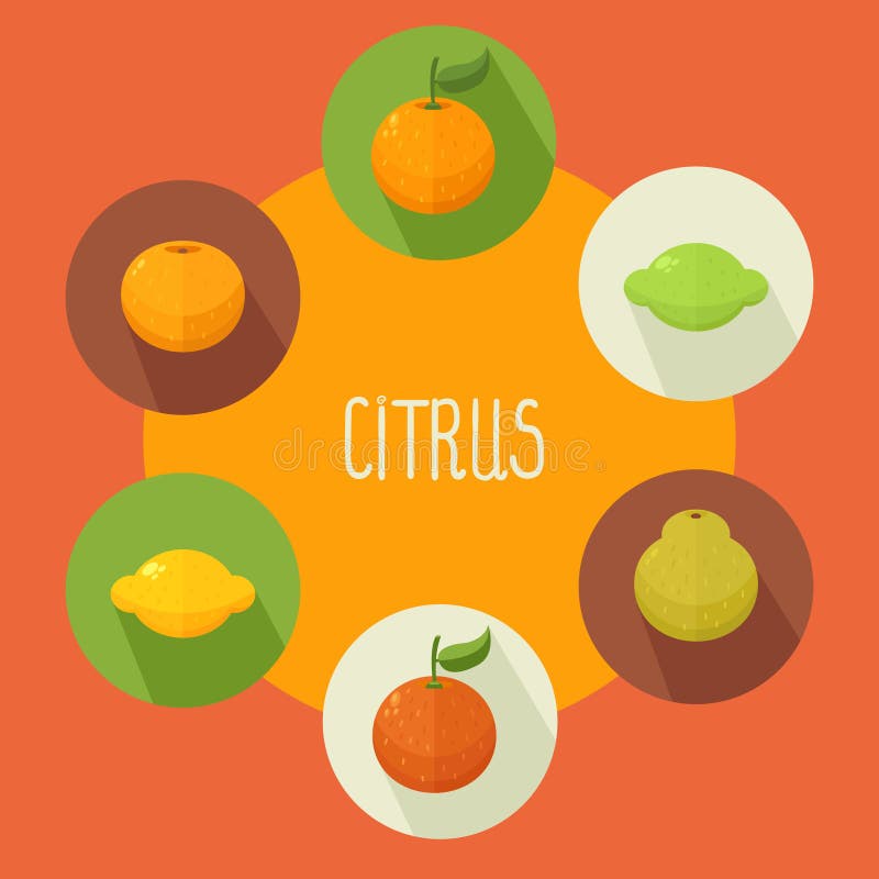 Citrus icons set stock vector. Illustration of card, flat - 45557257