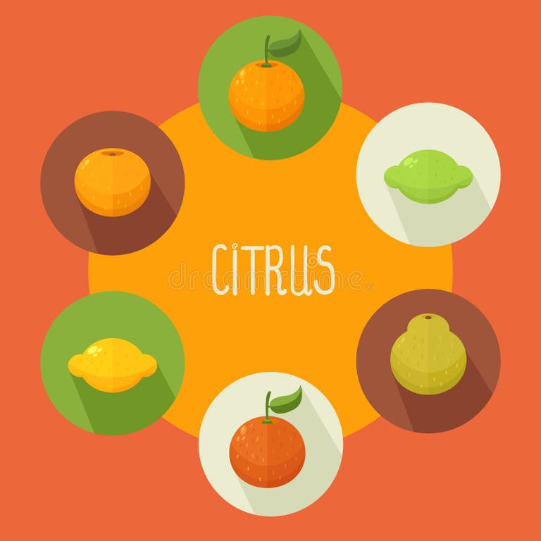 Citrus icons set stock vector. Illustration of card, flat - 45557257