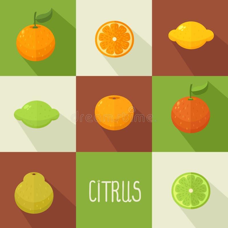 Citrus icons set stock vector. Illustration of flat, book - 45557943