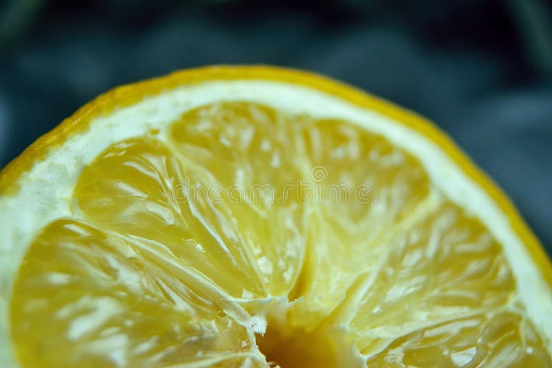 Citrus lemon stock image. Image of shot, summer, macro - 91673955
