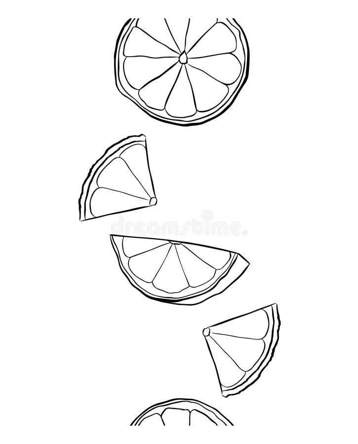 Citrus Lemon Slices Vertical Seamless Border. Black and White Vector ...