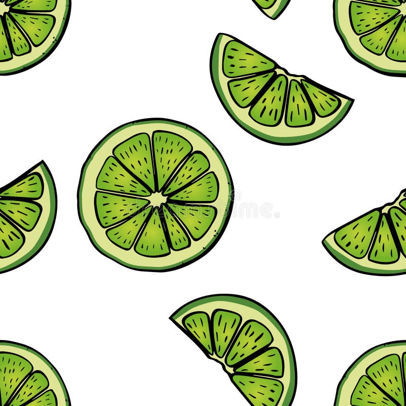 Citrus Lime Hand Drawn Vector Pattern Stock Vector - Illustration of ...