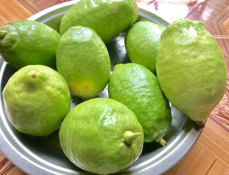 Citrus Limon photo stock. Image du fruits, plaque, sain - 94487198