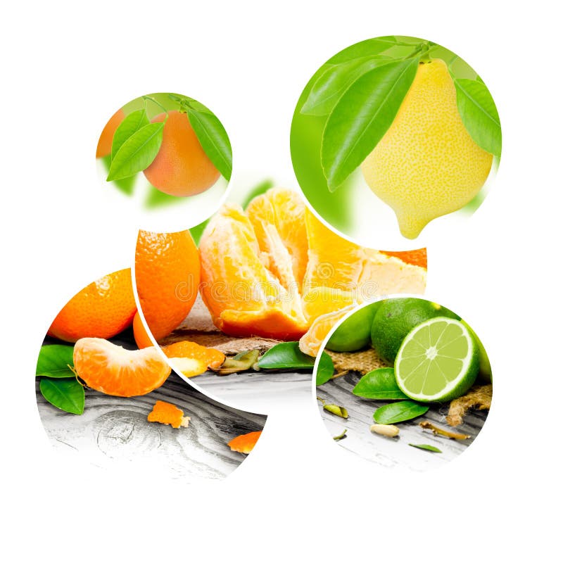 Citrus mix stock image. Image of group, lemon, citrus - 55736073