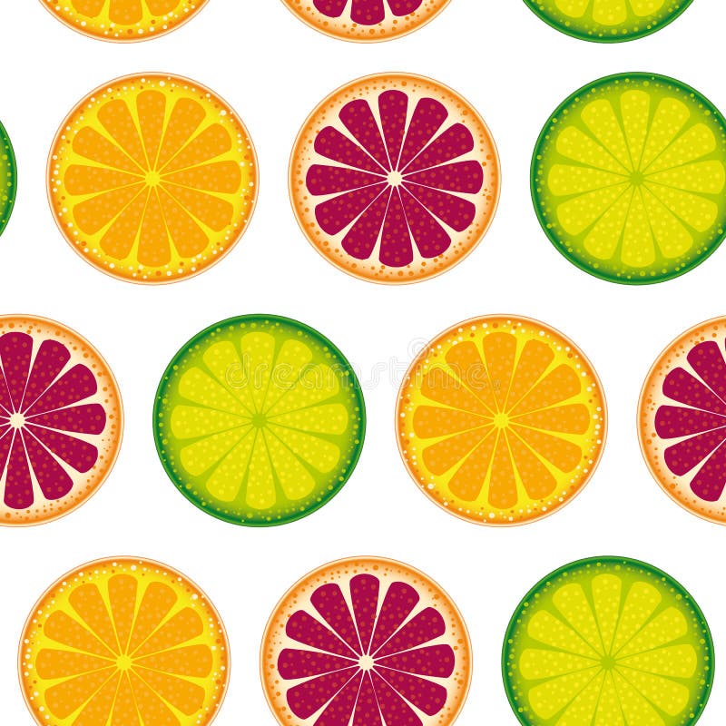 Citrus seamless pattern stock vector. Illustration of edible - 7554888