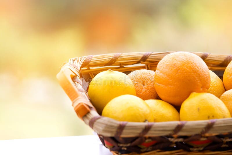 Citrus stock image. Image of napkin, summer, fresh, assortment - 91680755