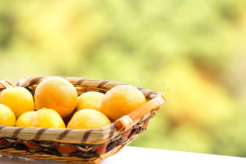 Citrus stock image. Image of mixed, fresh, napkin, tangerine - 91680837