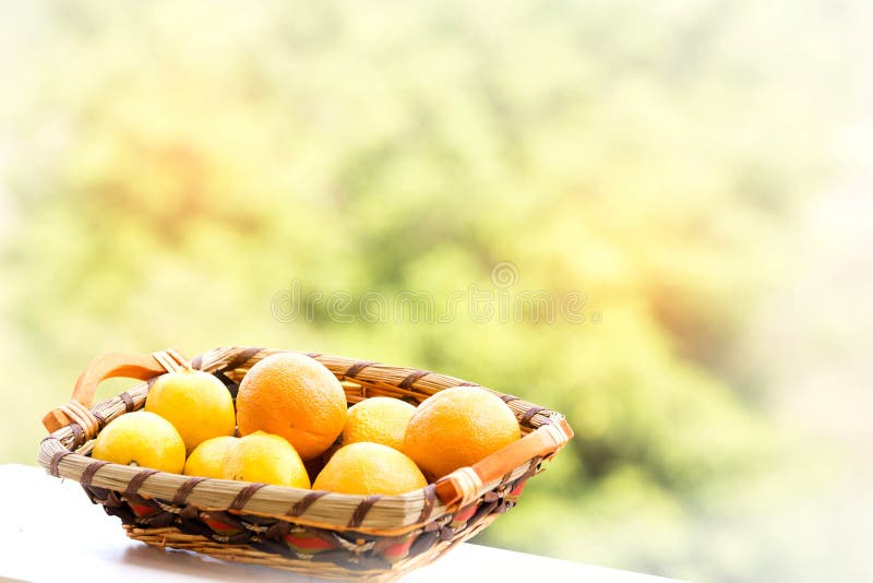 Citrus stock photo. Image of tangerine, fruit, green - 91680978
