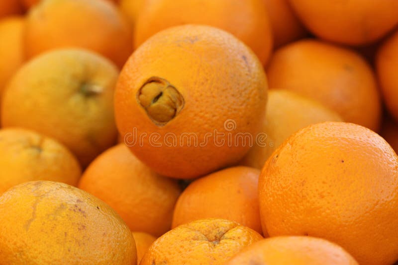 Human Mutation with Extra Growth on Ear Stock Image - Image of gene ...