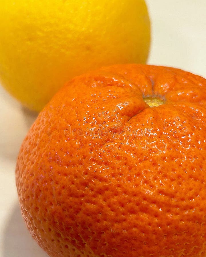 Citruses, Orange, Lemon, Citrus Fruit, Orange Peel Group, Fresh Fruit ...