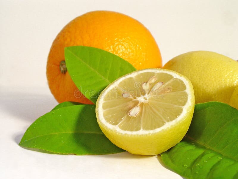 Citrusvrucht stock afbeelding. Image of sinaasappel, half - 564081