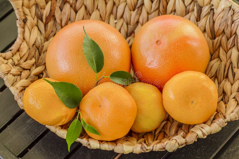 Citrusvrucht stock afbeelding. Image of grapefruit, zomer - 63181531