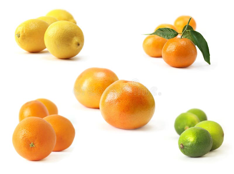 De Citrusfamilie stock afbeelding. Image of levensstijl - 1280571