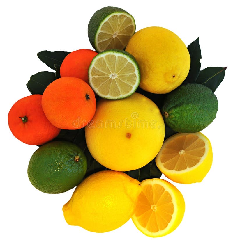 Citrusvrucht stock foto. Image of landbouw, sinaasappelen - 36061824