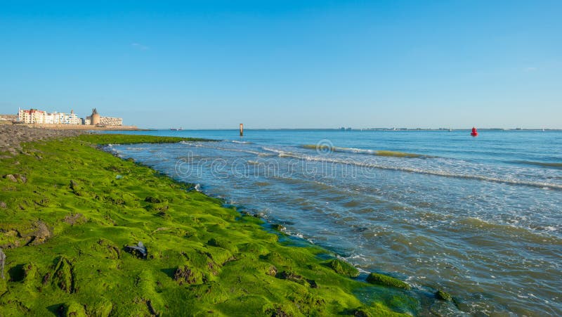 City Along a Sea in Sunlight Stock Image - Image of moss, breakwater ...