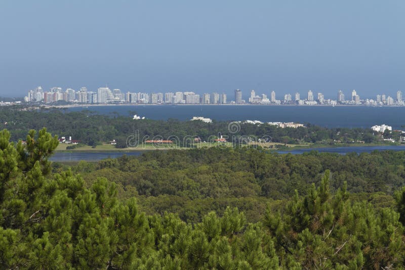 City Behind the Woods. Punta Del Este Landscape. Stock Image - Image of ...