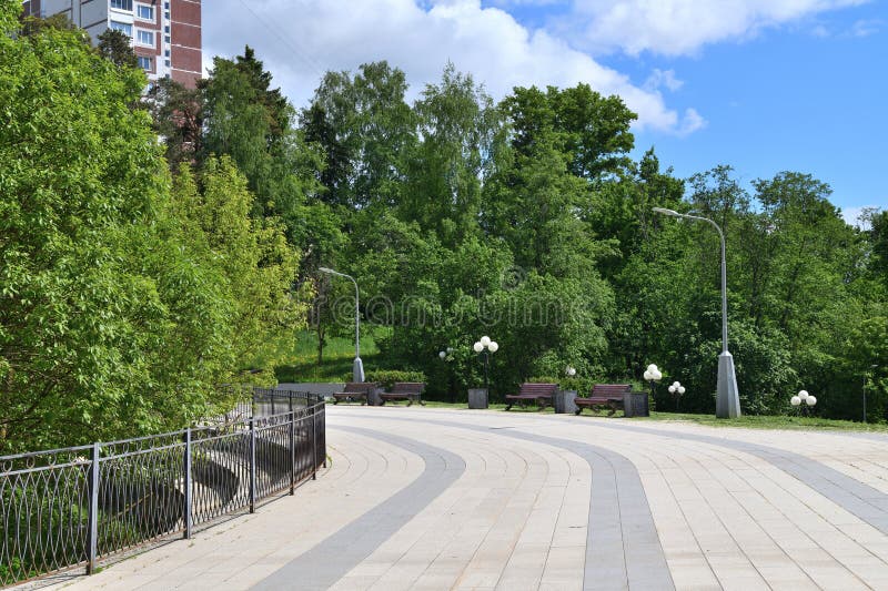 City Boulevard with Trees and a Walking Path Stock Image - Image of ...