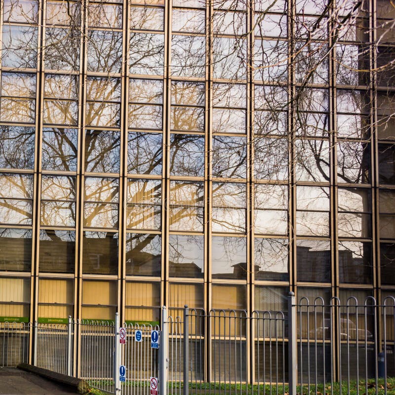 City Branch stock photo. Image of branch, reflecting - 28643818