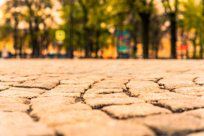 City Central Square Paved with Stone and Garden. Stock Photo - Image of ...