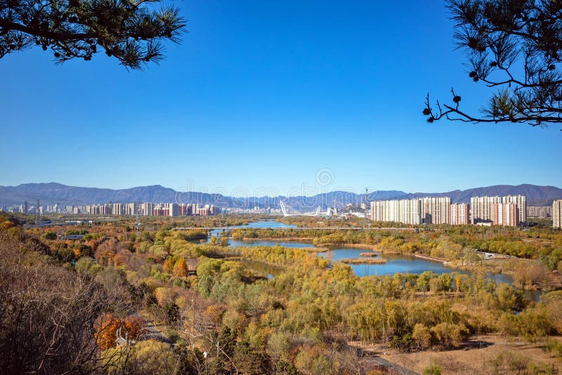 City and Forest stock photo. Image of tree, fall, nature - 260658866