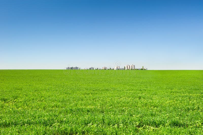 City from the Grass stock image. Image of city, lawn - 20336775