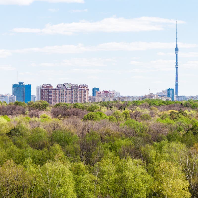 City and Green Woods in Spring Day Stock Image - Image of city ...
