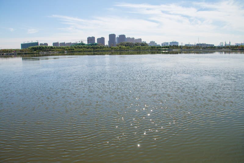 City lake stock photo. Image of cityscape, field, artificial - 44342090
