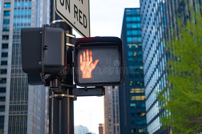 City Light Sign.Stop.Do Not Crossing. Stock Image - Image of crosswalk ...
