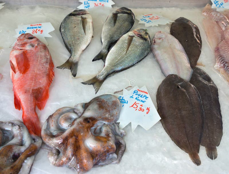City of Nice - Fish Market stock photo. Image of nature - 45991026