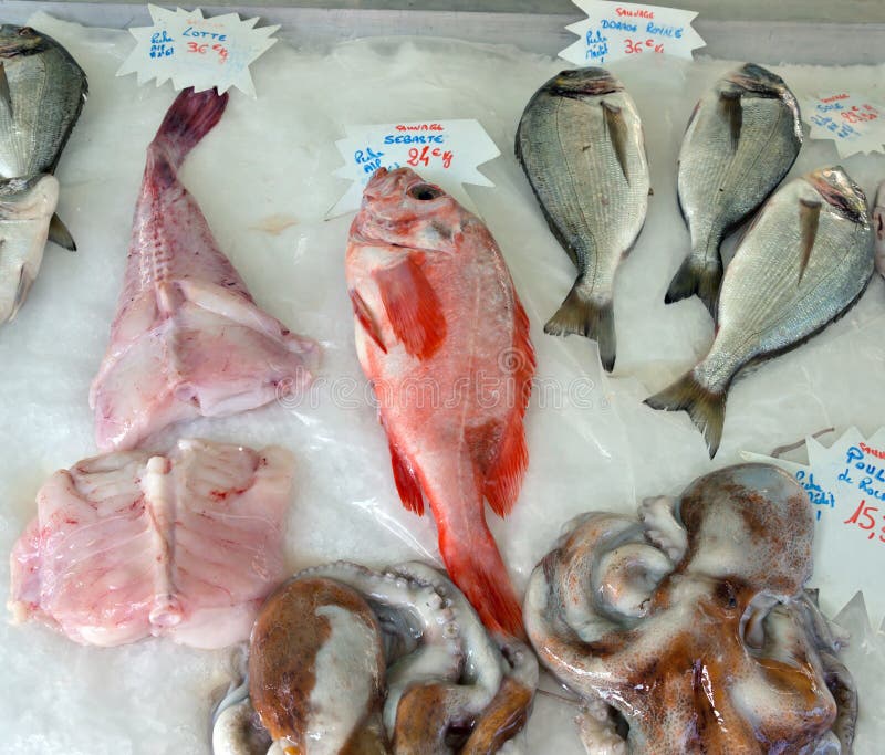 City of Nice - Fish Market stock image. Image of nature - 45991121