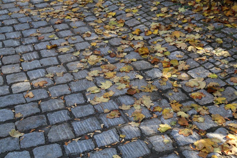 City. Old Cobbled Surface of the Road Stock Photo - Image of rough ...